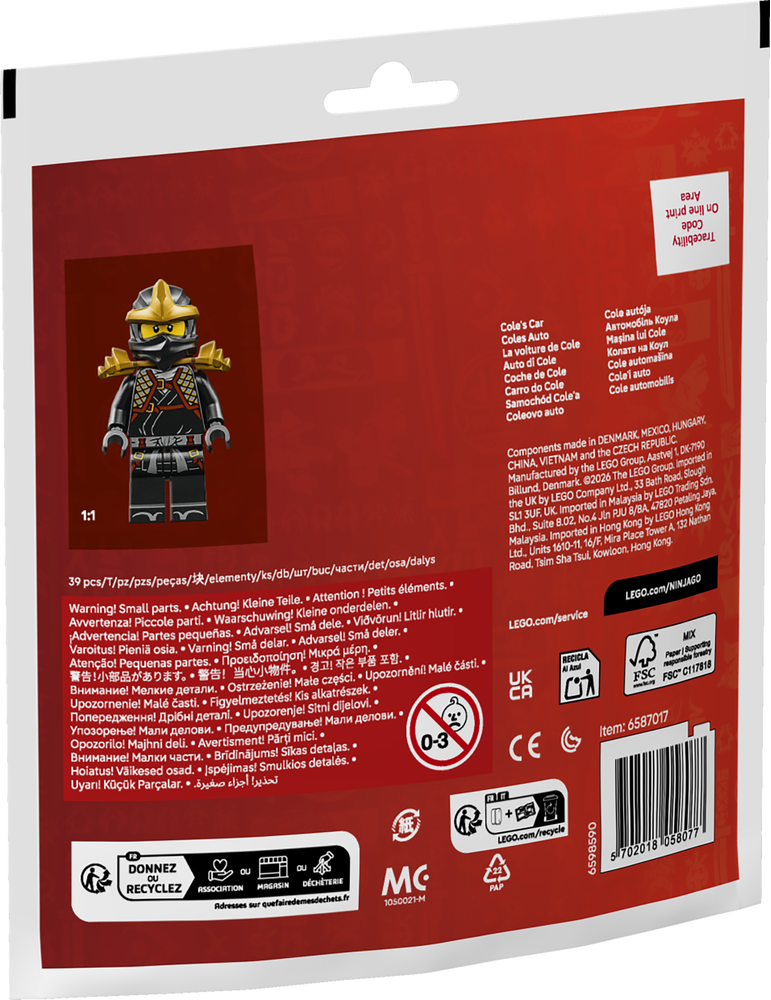 Ninja Coles Flitzer - Bunte Steinewelt